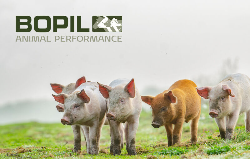 Moderne CRM giver BoPil fuldt overblik over kundedata